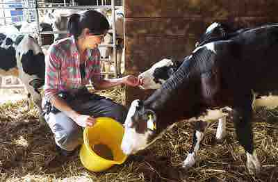 7 Best Barn Shoes for Winter (Reviewed in 2023) | Footted